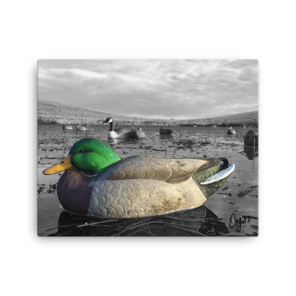 Ongaro “Working Decoys” Canvas | Ongaro's